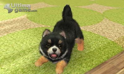 Nintendogs + Cats 3DS: Ultimagame